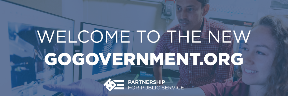 The redesigned gogovernment.org and why we need more young people in ...